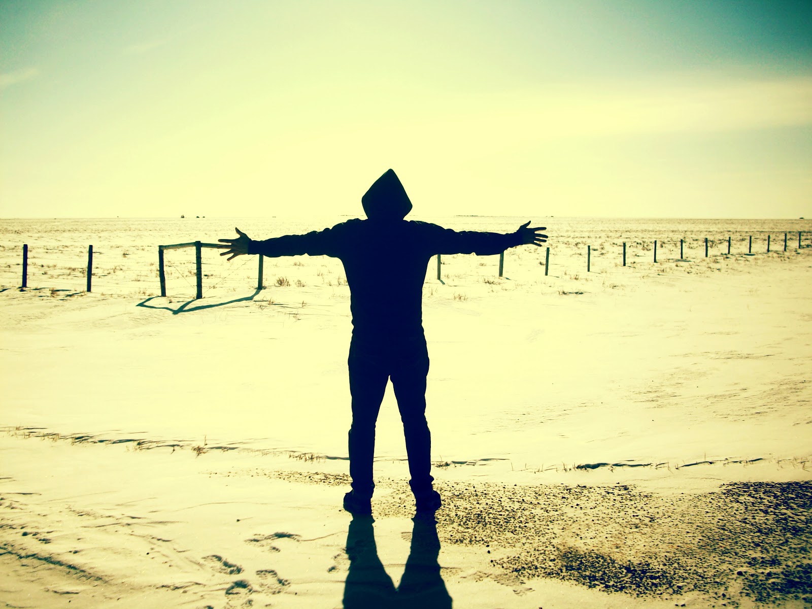 covered in dust: your heart is free