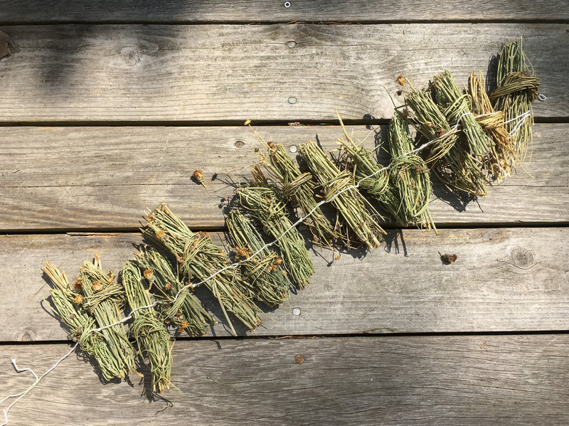 CENSORED NEWS: Dine' Hataalii Association responds after Navajo ...