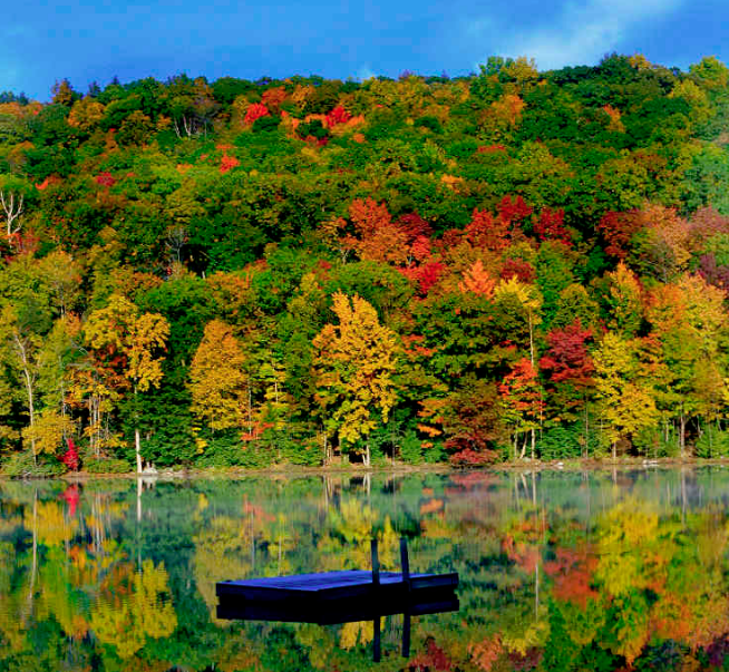 Culture and Climate: The Colors of Fall in Aspen