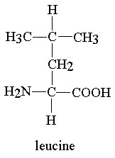 World of Biochemistry (blog about biochemistry): Amino acids with ...