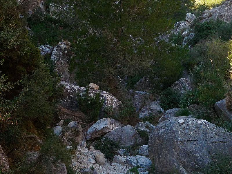 GEOELX: BARRANCO DE LA BOQUERA