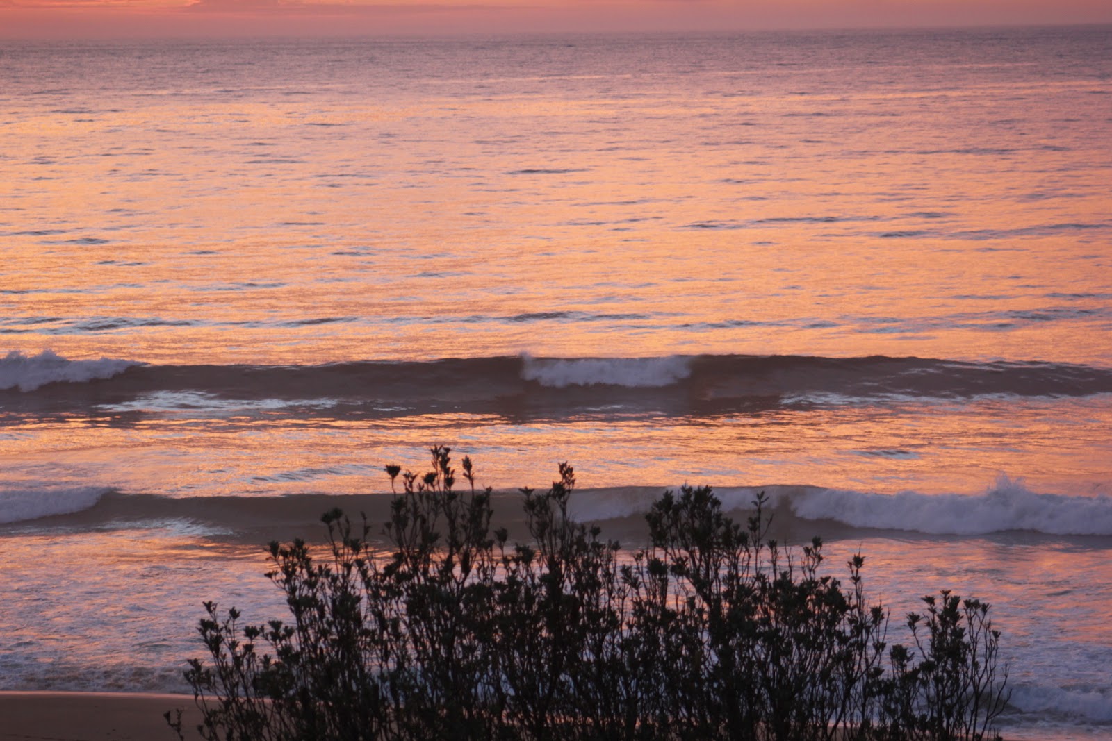 Shelly Beach Surf Report