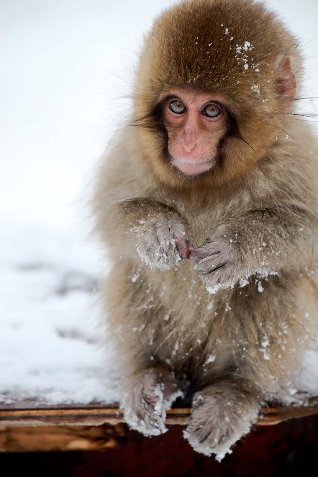 Adventures in South Korea