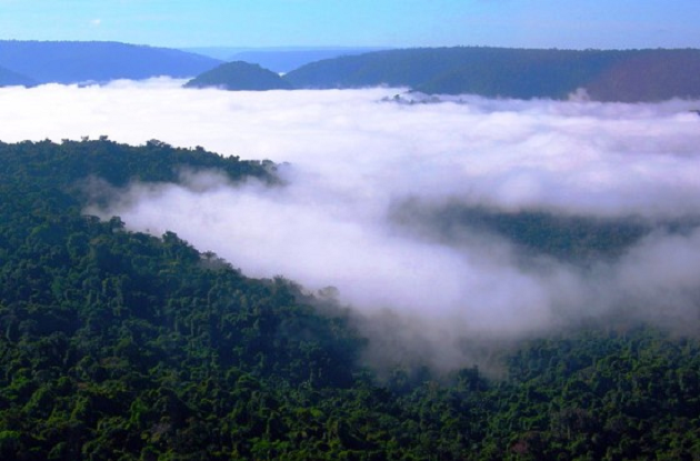 Meio Ambiente: Clima de Amazônia
