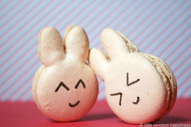 little random happiness: Fun Macarons