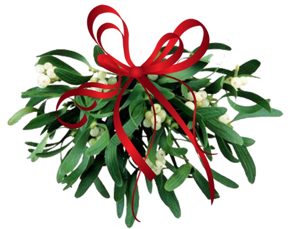 ilclanmariapia: Leggende natalizie:Il vischio