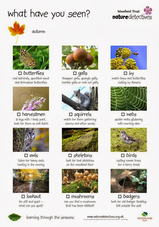 Welcome to the Green Heart Dens blog page.......: Woodlands Trusts ...