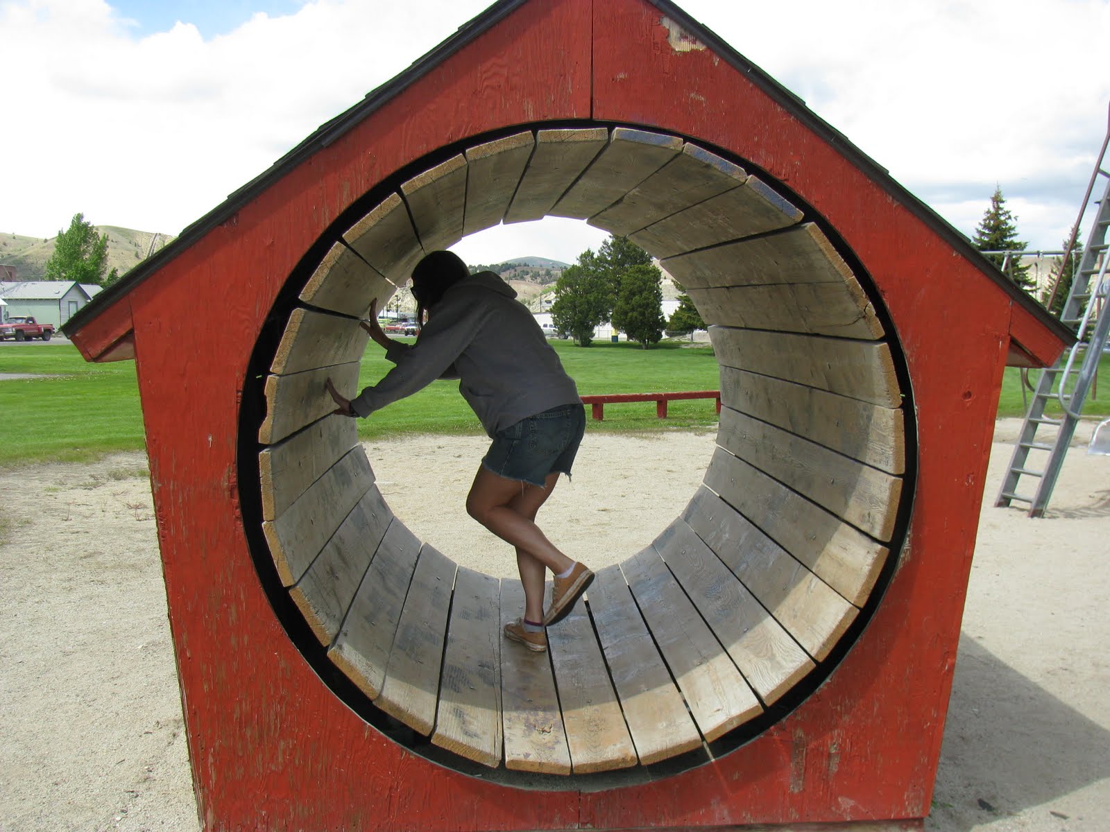 Human Hamster Wheel