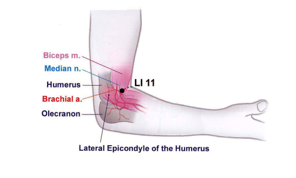 12 Titik Langit Akupunktur Berbintang Ma Dan Yang - Terapi Jarum