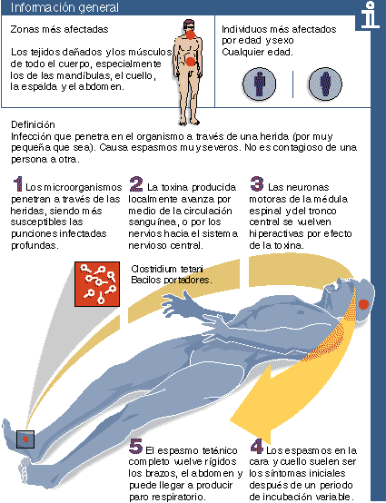 EMS SOLUTIONS INTERNATIONAL by @DrRamonReyesMD marca registrada ...