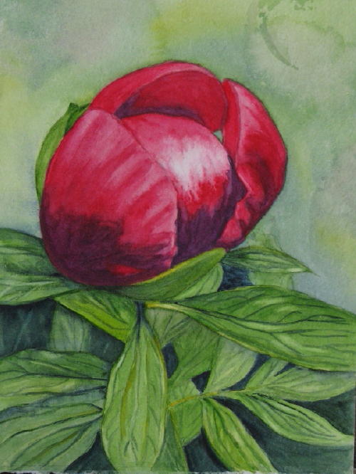 Artist Barbara Rosenzweig's Blog: Art, Gardening, Photography, and ...