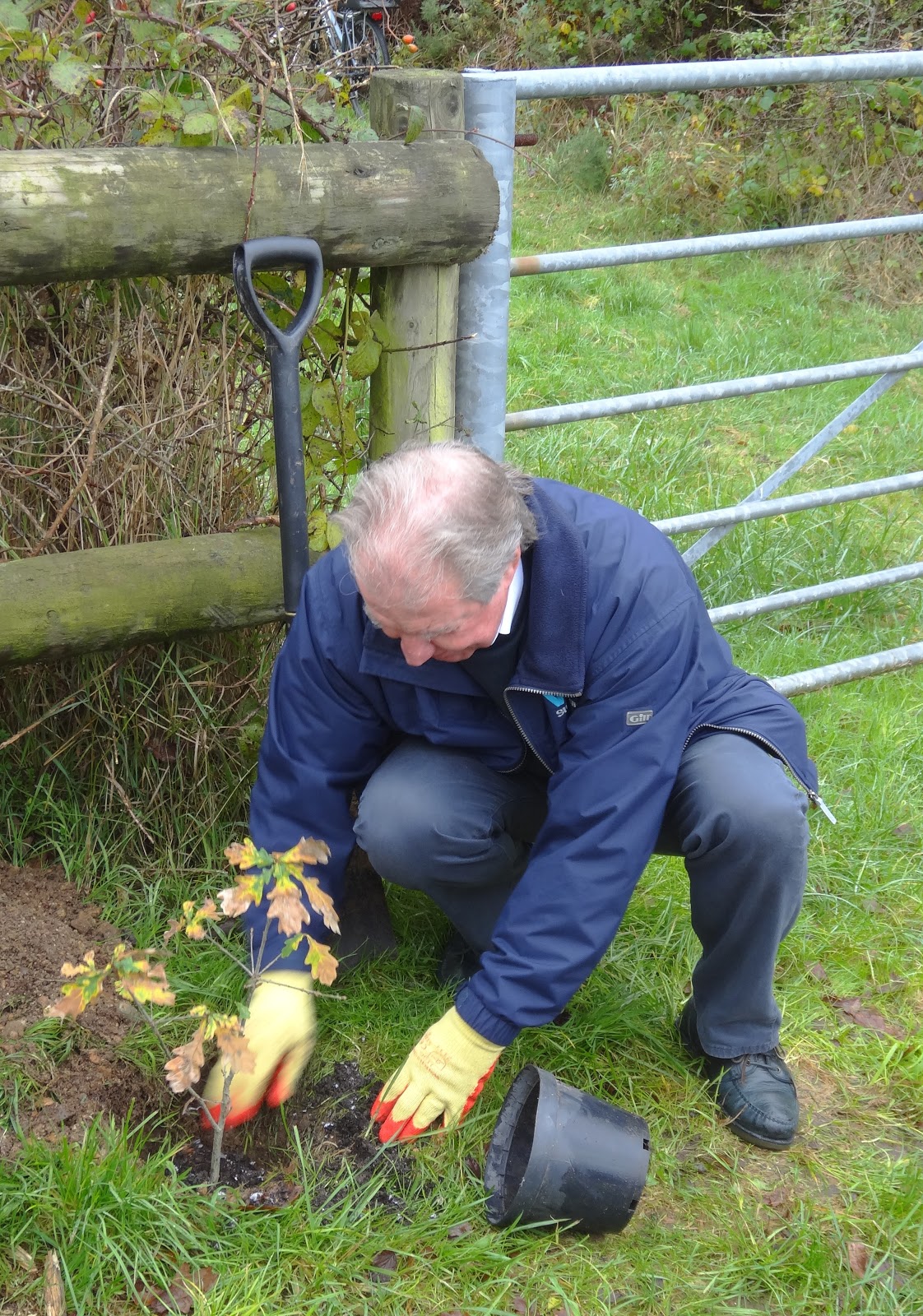 Hagthorn: Thinking About Trees