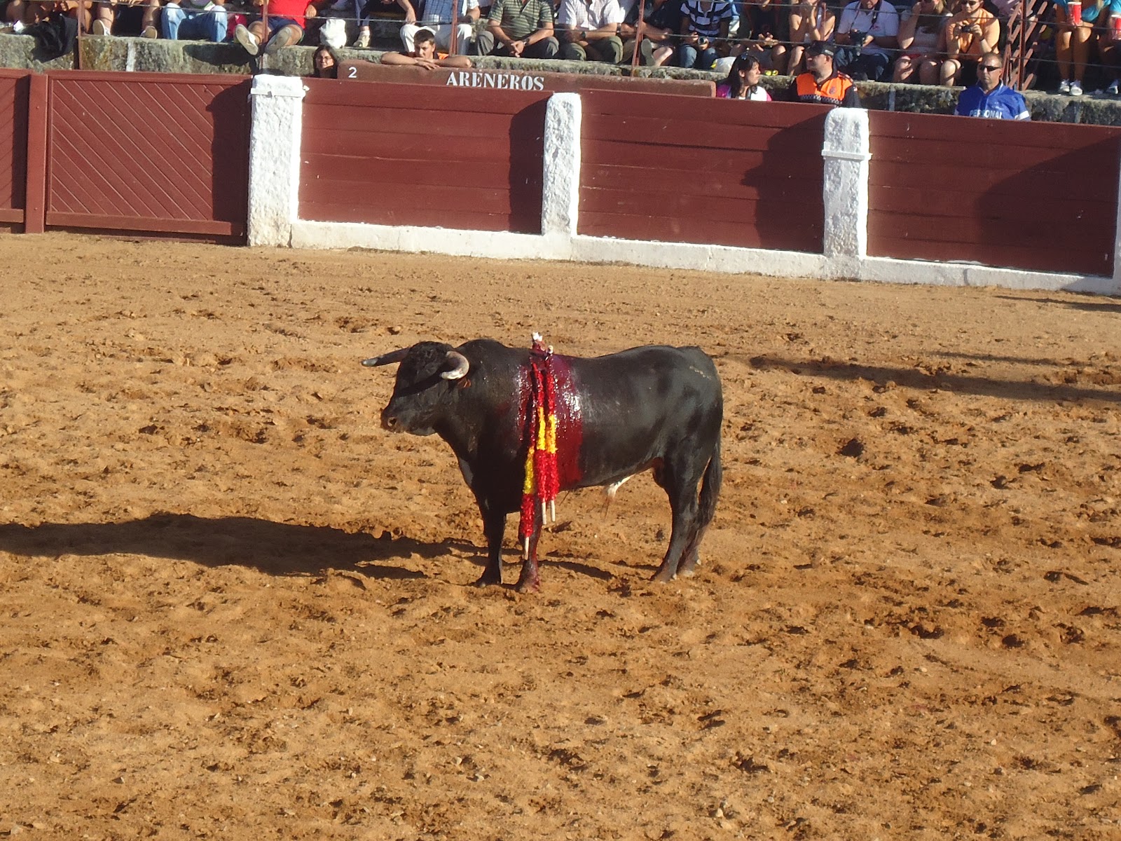 Spanish Bull Fighting