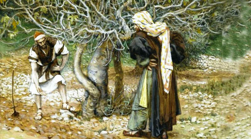 Jesus é Deus: LIÇÕES SOBRE A FIGUEIRA SECA