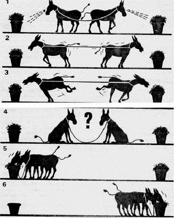 O Rei vai nuzinho vai vai: Afinal é possível dois burros serem espertos...