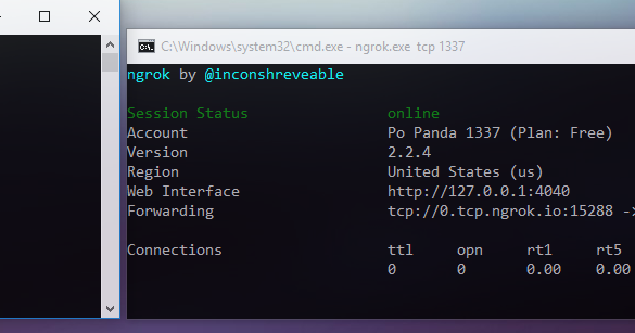 Server Rooting with Ngrok 2017
