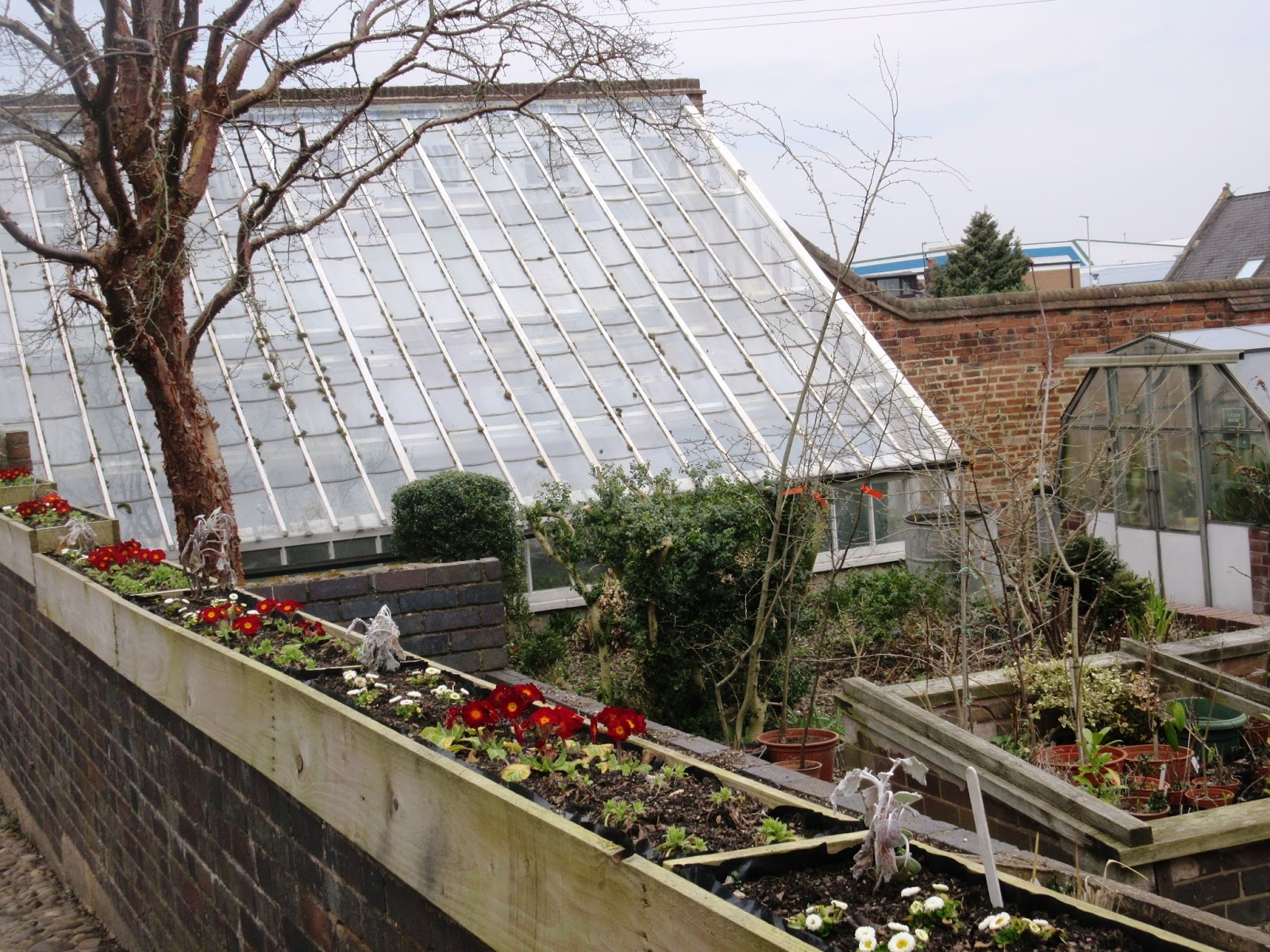 Liberal England: The gardens of Belgrave Hall