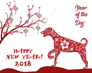 The CIO’s “Underdog Leadership” Practices at the Dawn of Digital and ...