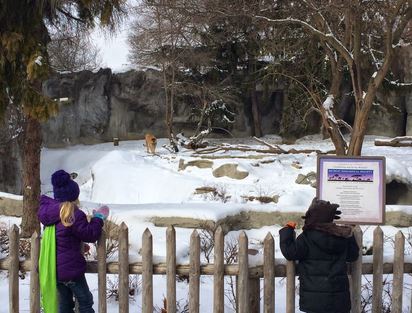 A GEEK DADDY: WINTER IS A GREAT TIME FOR A VISIT TO THE ZOO