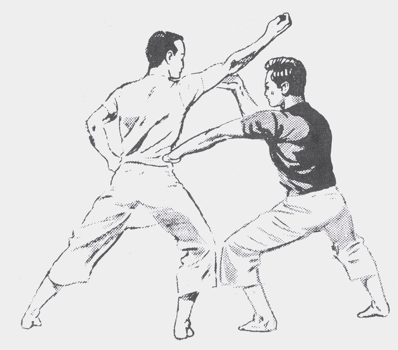 KEMPO-KEN RYU TAE: BENEFICIOS DE PRACTICAR KEMPO CHINO