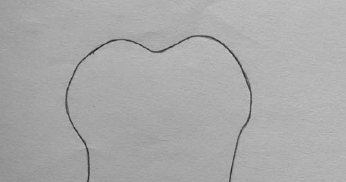 DRAW IT NEAT : How to draw tooth diagram labeled.