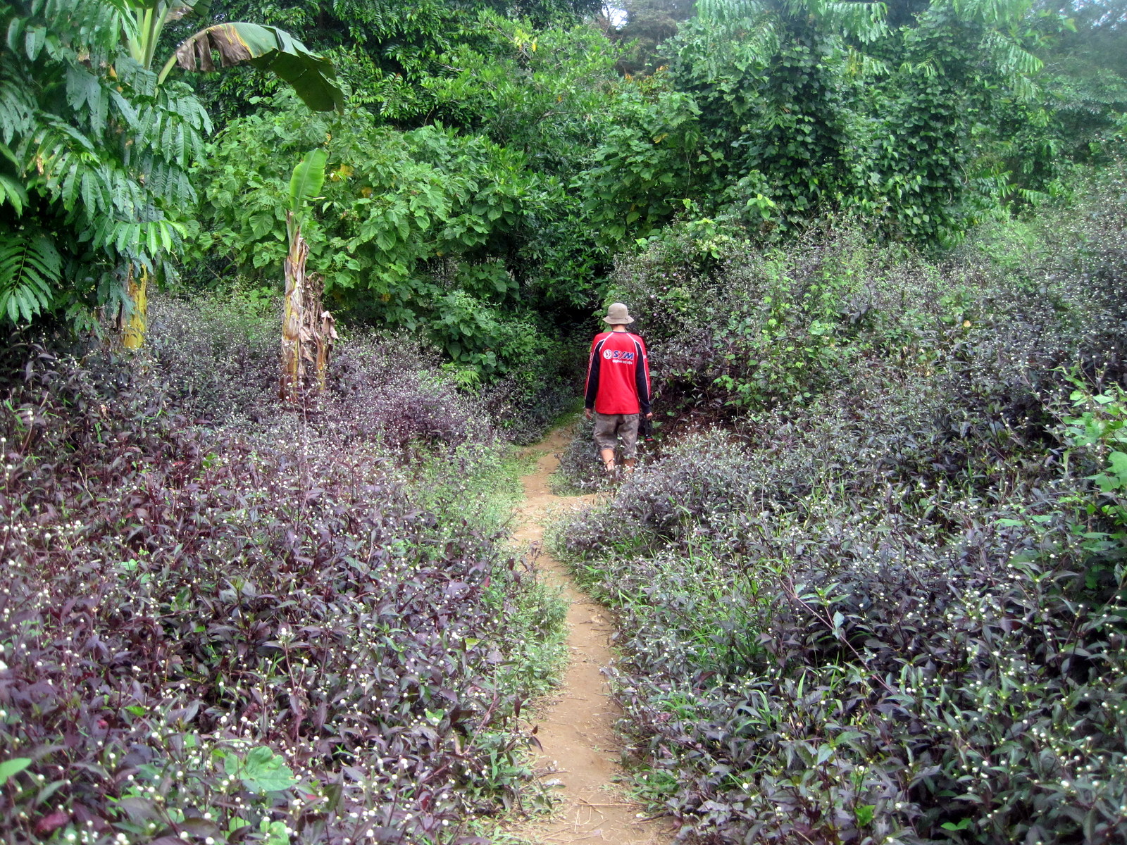 Bulacan Trails: Puning Cave, Brgy. Bayabas, DRT, Bulacan