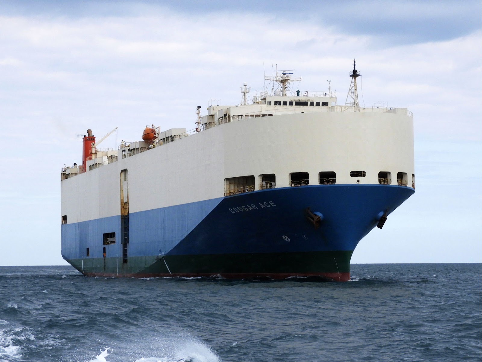 TORBAY SPOTTER: May 2019