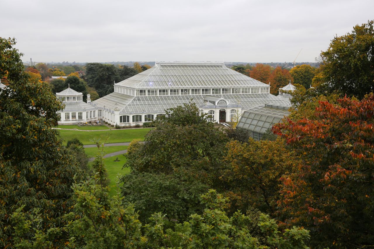 Shadows & Light: Kew Gardens (Again)