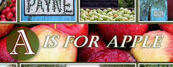 Capadia Designs: An Apple Page - Full of Photos