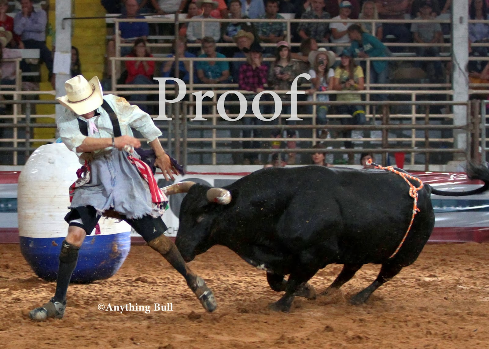 Anything Bull or Rusty: Friday Round 5 - Clint Hopping