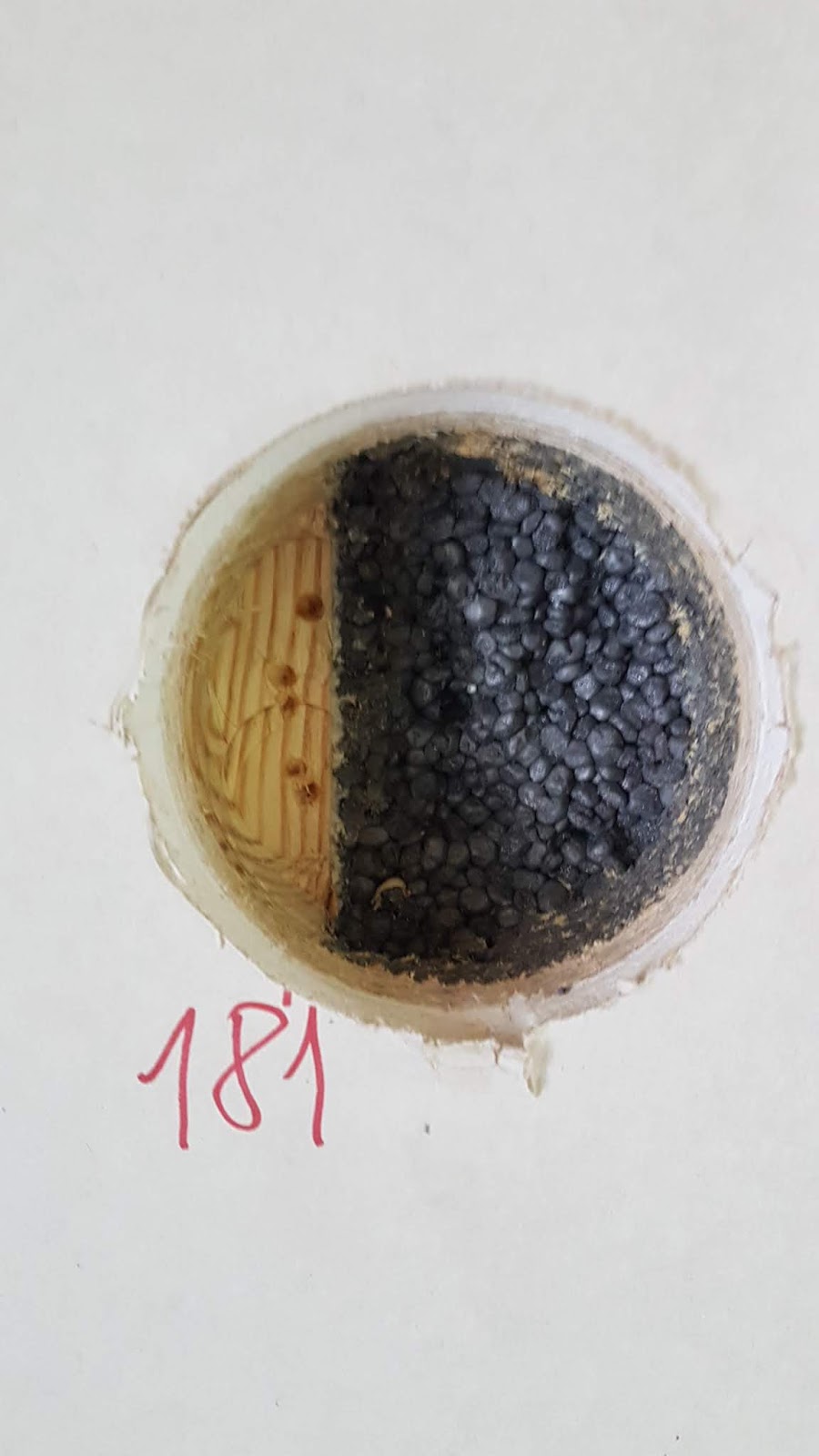 Dzūkiška pirkia: Namo sandarumas