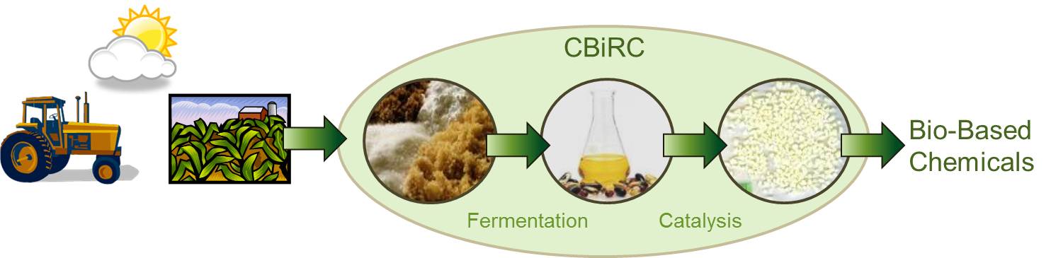 Center for Biorenewable Chemicals: Opportunities and Challenges for a ...