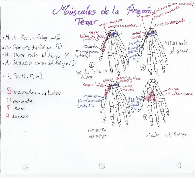 MedGarcia: abril 2019