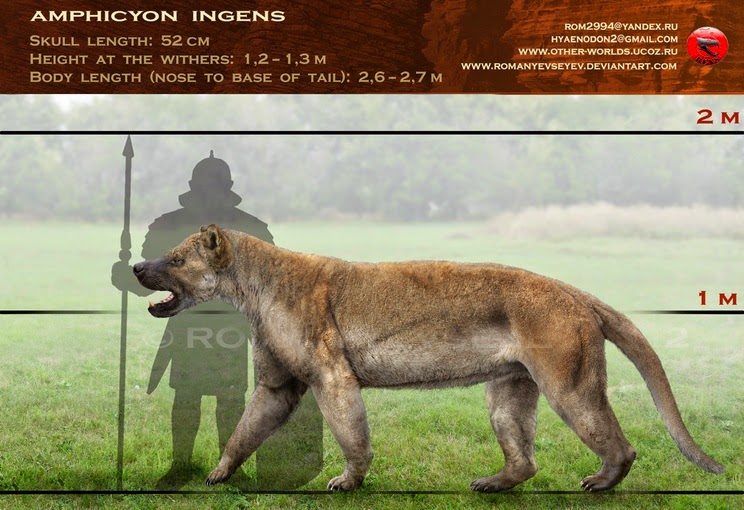 Amphicyon ingens, the largest of the bear-dogs : r/Naturewasmetal