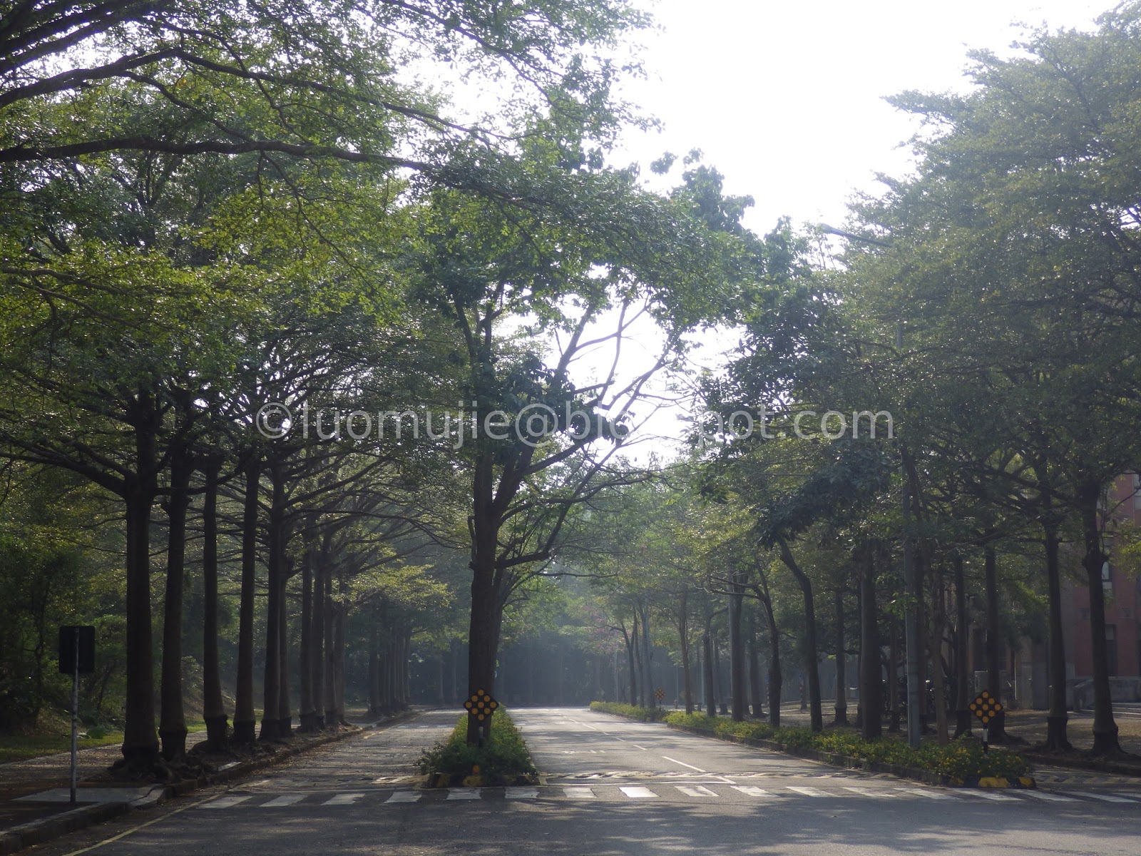 Meteor Garden (流星花園) real-life university - National Chung Cheng ...