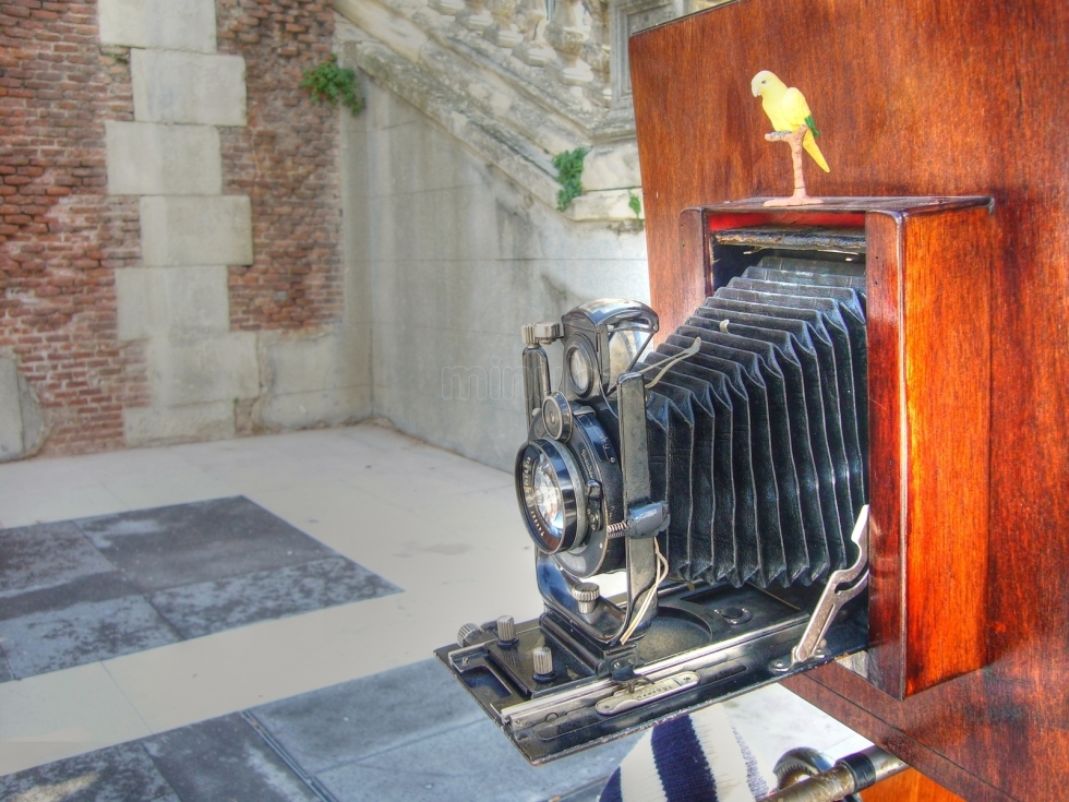 Suspiros por Madrid: PASCUAL MIRALLES Y LA FOTOGRAFÍA MINUTERA: RETRATO ...