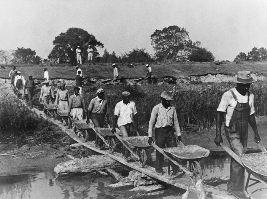 The Tragic Commons: July 2016