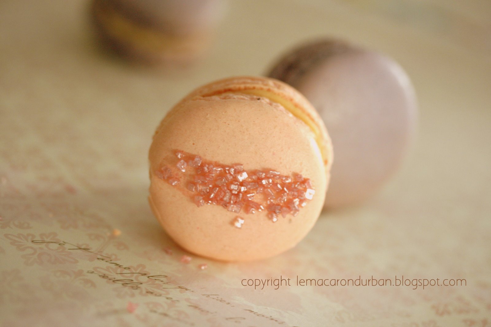 {LeMacaron} south africa