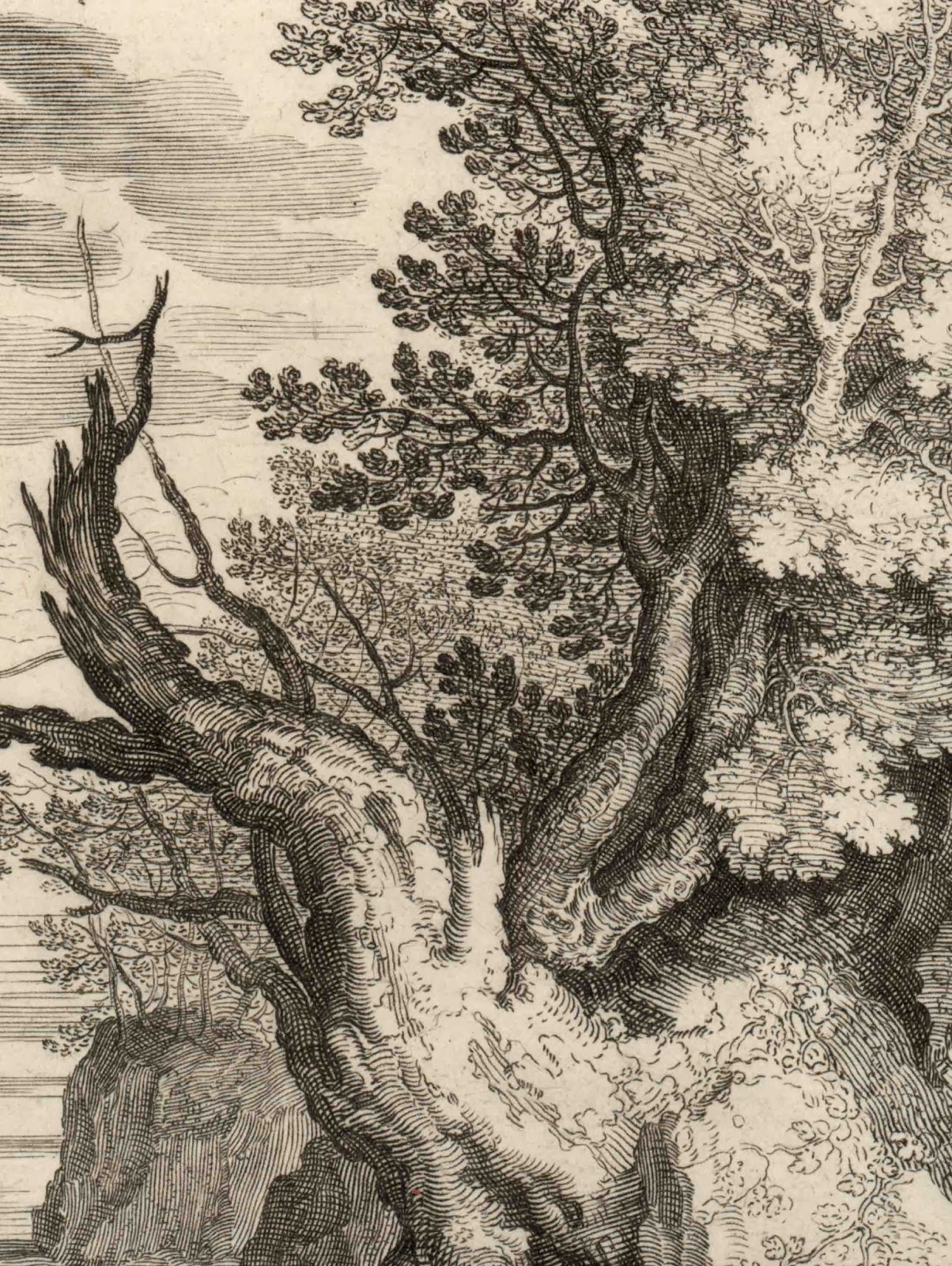 Prints and Principles: Trees as Metaphors (Part 1)