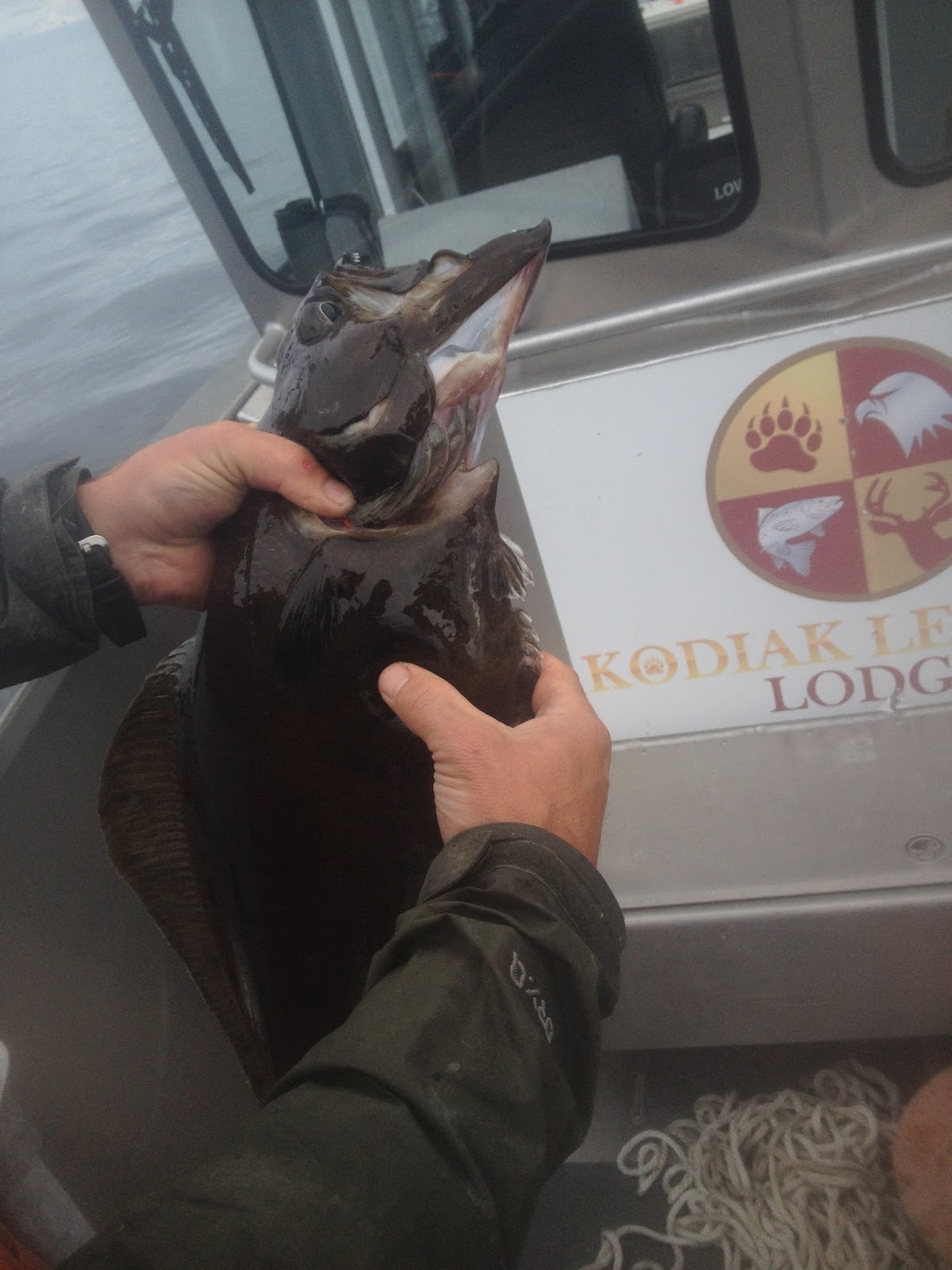 Pacific Northwest Saltwater Fish: A Spooled Fish Profile