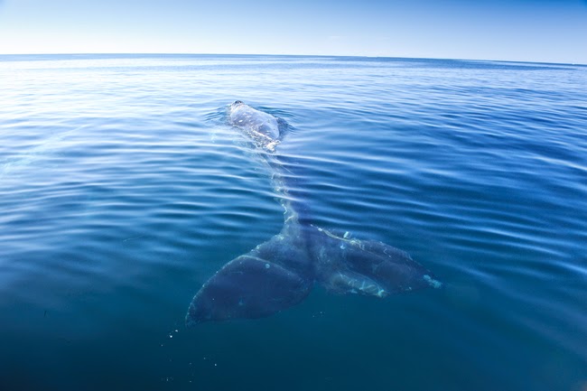 Misterios del Este: El Mar de Bering, Берингово море