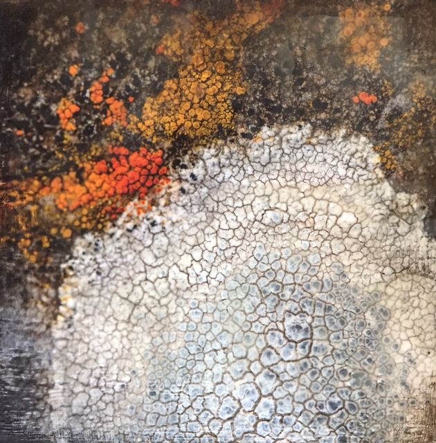 jean larson photography