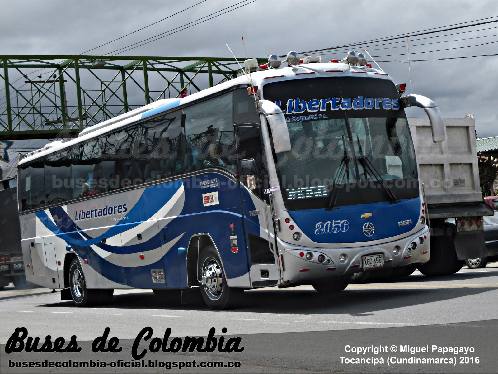 Libertadores (Flota Sugamuxi) 2056