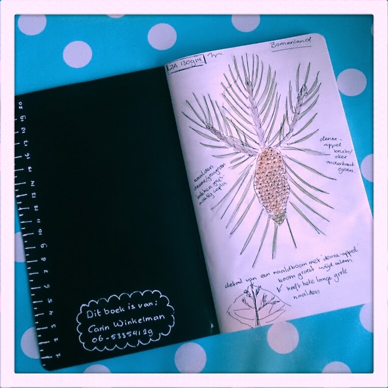 Caatje's Artsy Stuff: Field notes