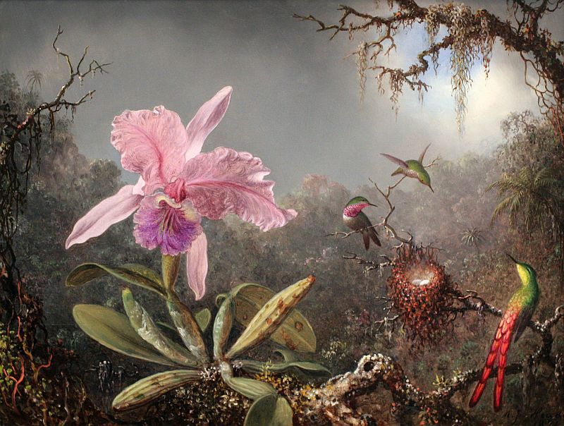 Martin Johnson Heade