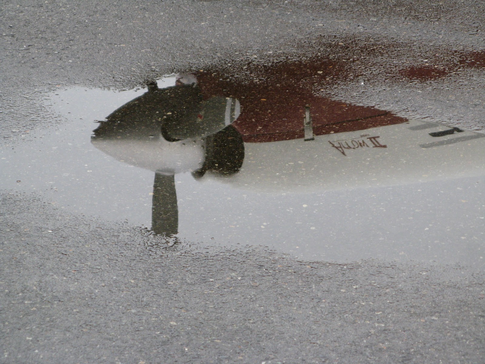 Powell River Books Blog: Piper in a Puddle