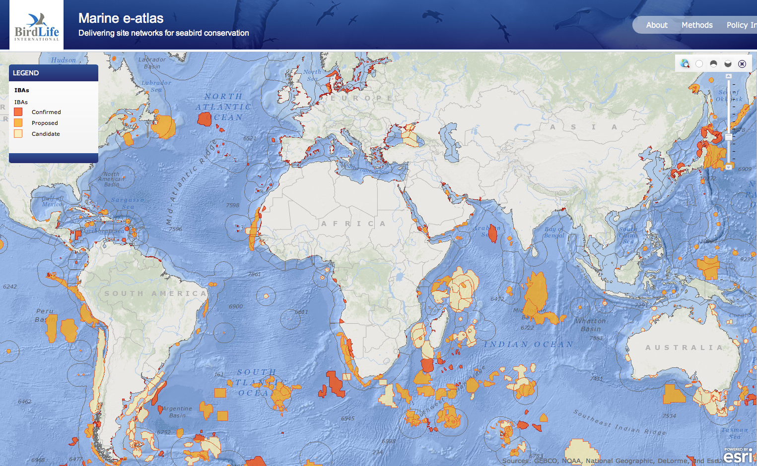 GeoGarage blog: Seabird atlas shows 3,000 key ocean conservation hotspots