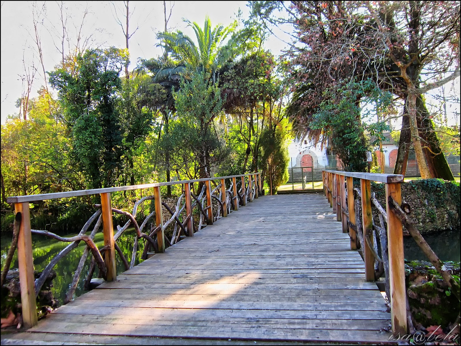 UM PIGO DE LUZ: Parque das Termas da Curia / Anadia