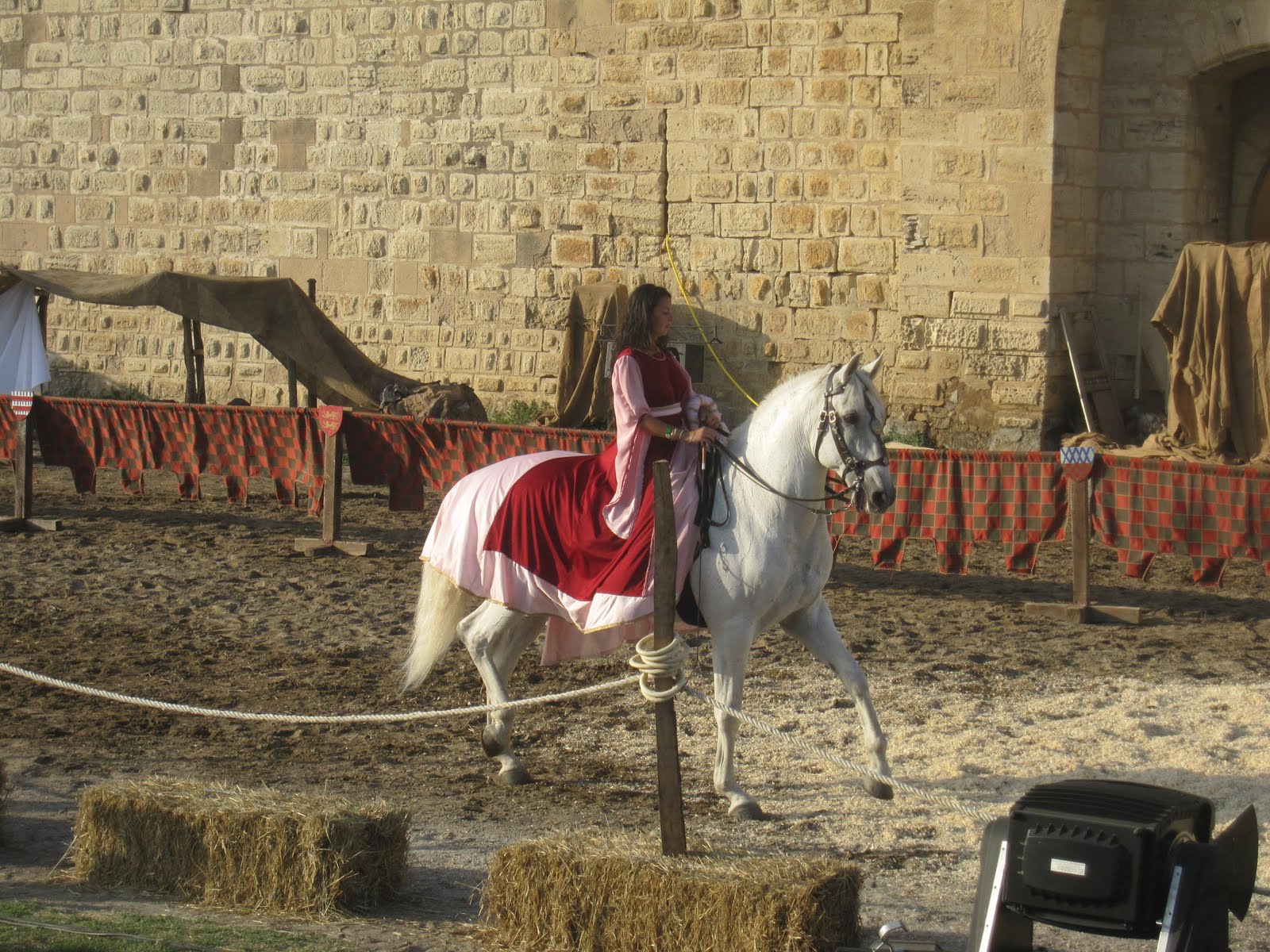 Mon carnet de bord équestre...: Fête de la Saint Louis - Aigues Mortes