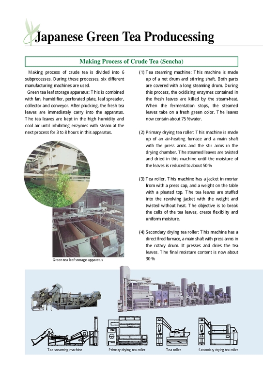 Tea Technology & Value Addition (B.Sc.)